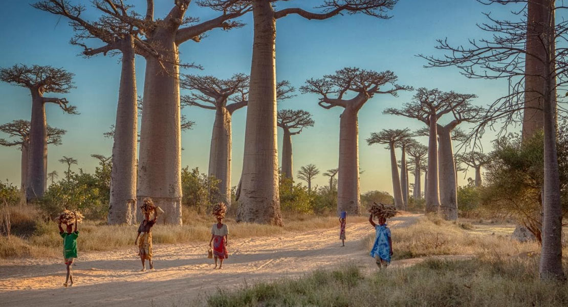 Trapeze des Mascareignes : Les top 10 activités à Madagascar